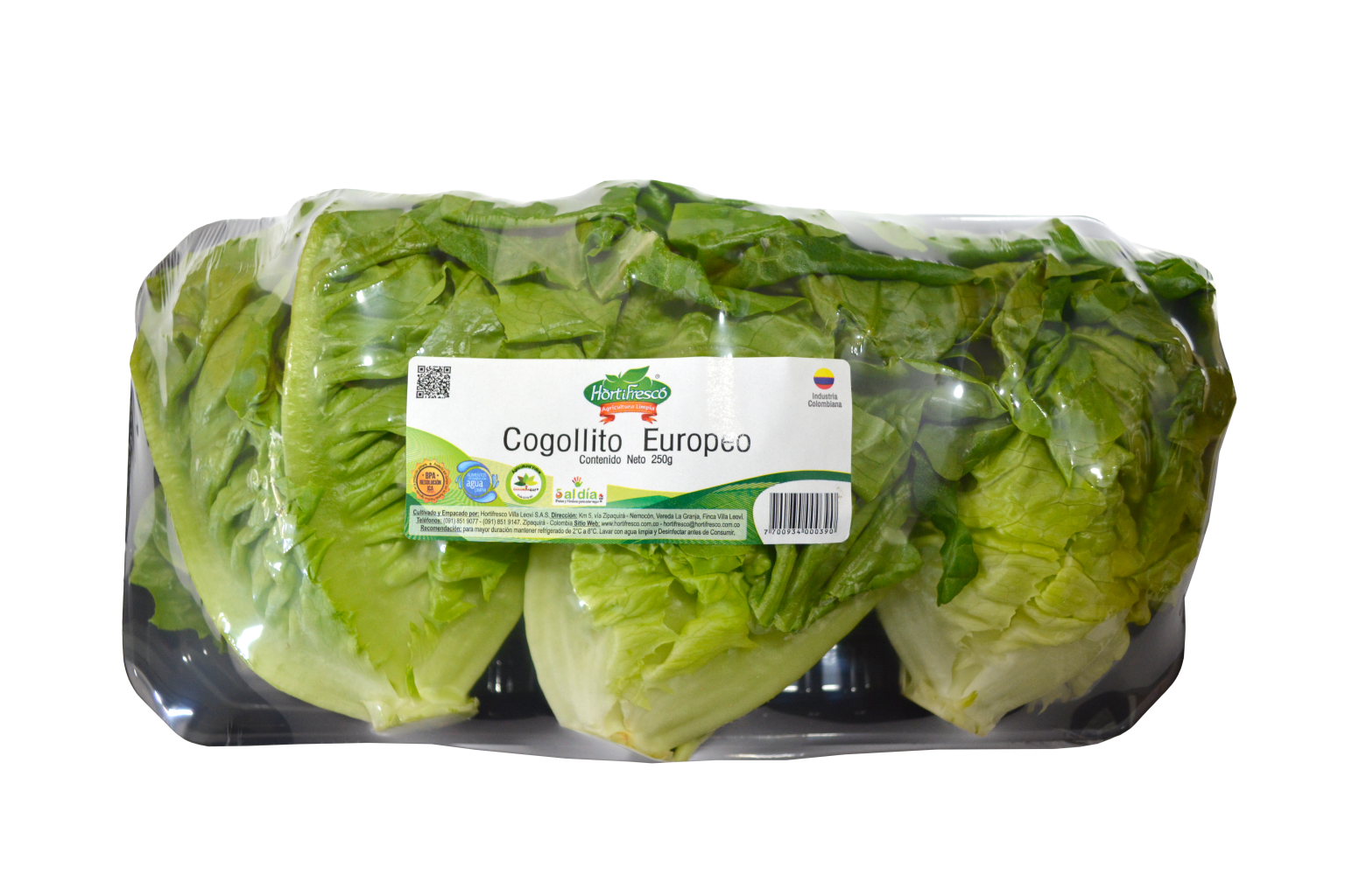 Producción Limpia – Hortifresco